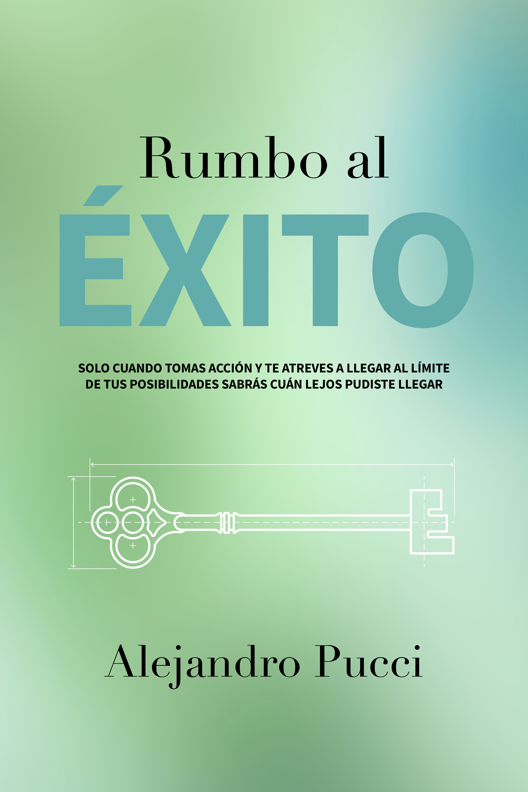 Rumbo al Éxito - Alejandro Pucci, Consultor de imagen política